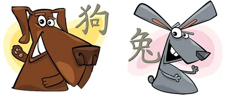 Rabbit Sign Love and Compatibility: Discover Your Zodiac Match